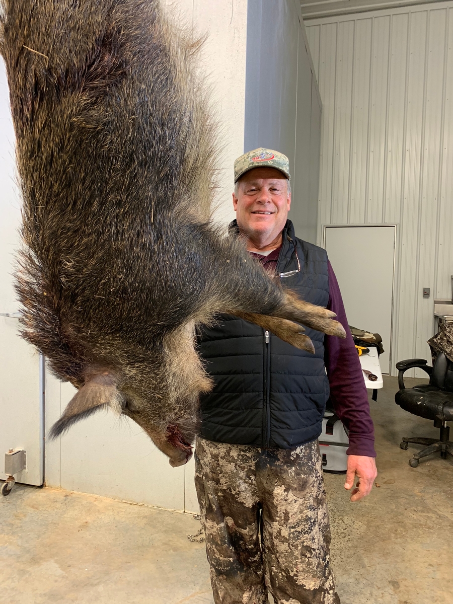 Wild Hog Hunts | Hog Hunting Ranch in Oklahoma