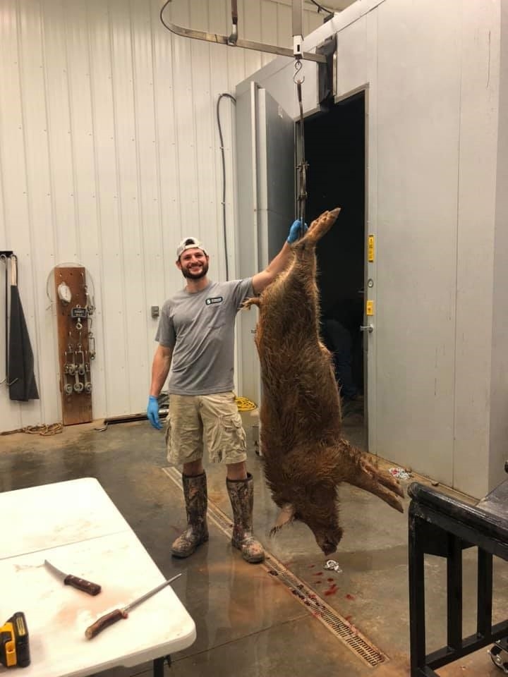 Wild Hog Hunts | Hog Hunting Ranch in Oklahoma