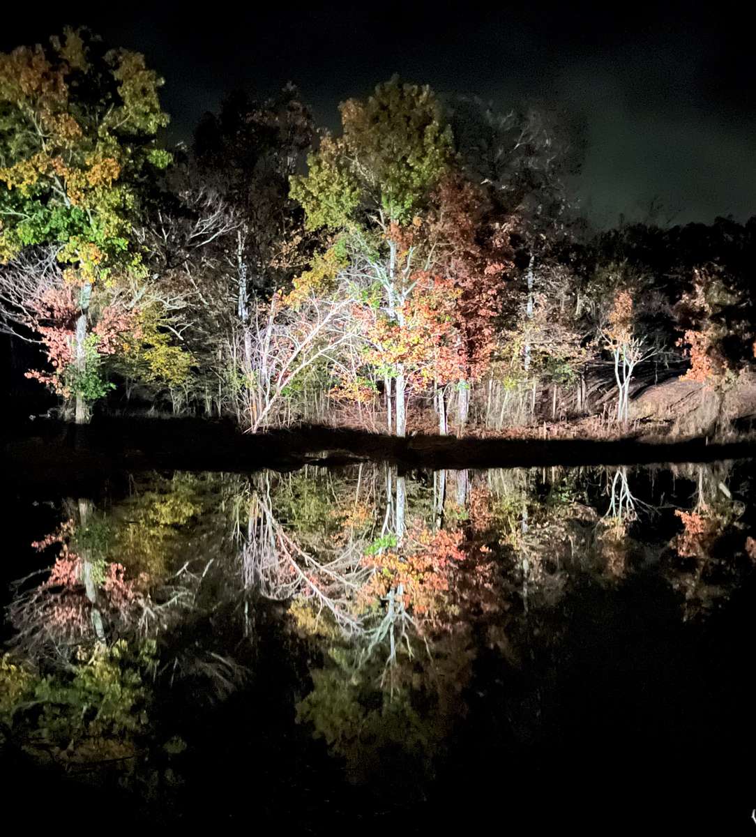 Weddings at Hunt Mill Hollow Ranch - Hunt Mill Hollow Ranch