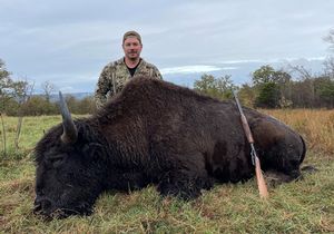 Guided Buffalo Hunts | Hunt Mill Hollow Ranch